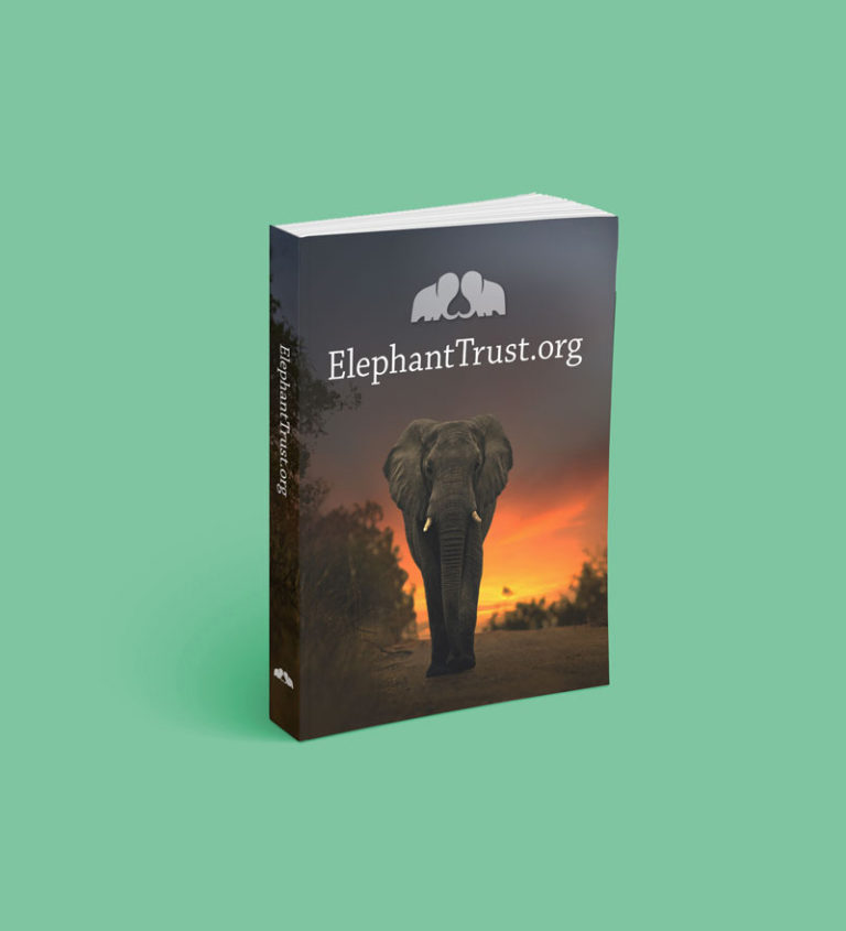 Powis Fastback – Smart Binding Solutions